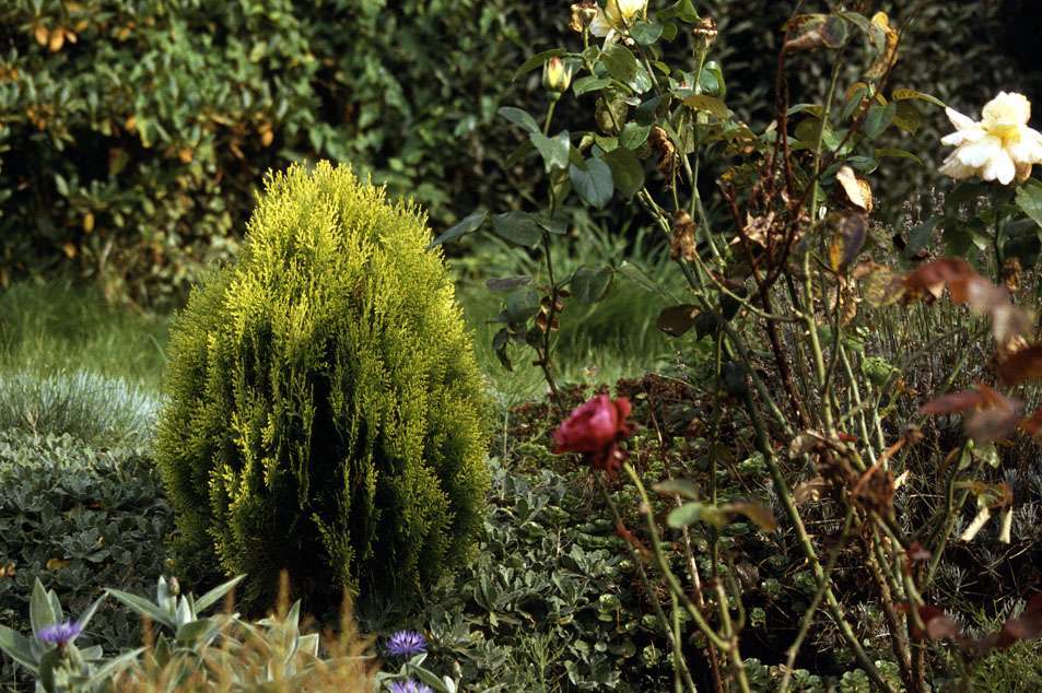 unser Garten